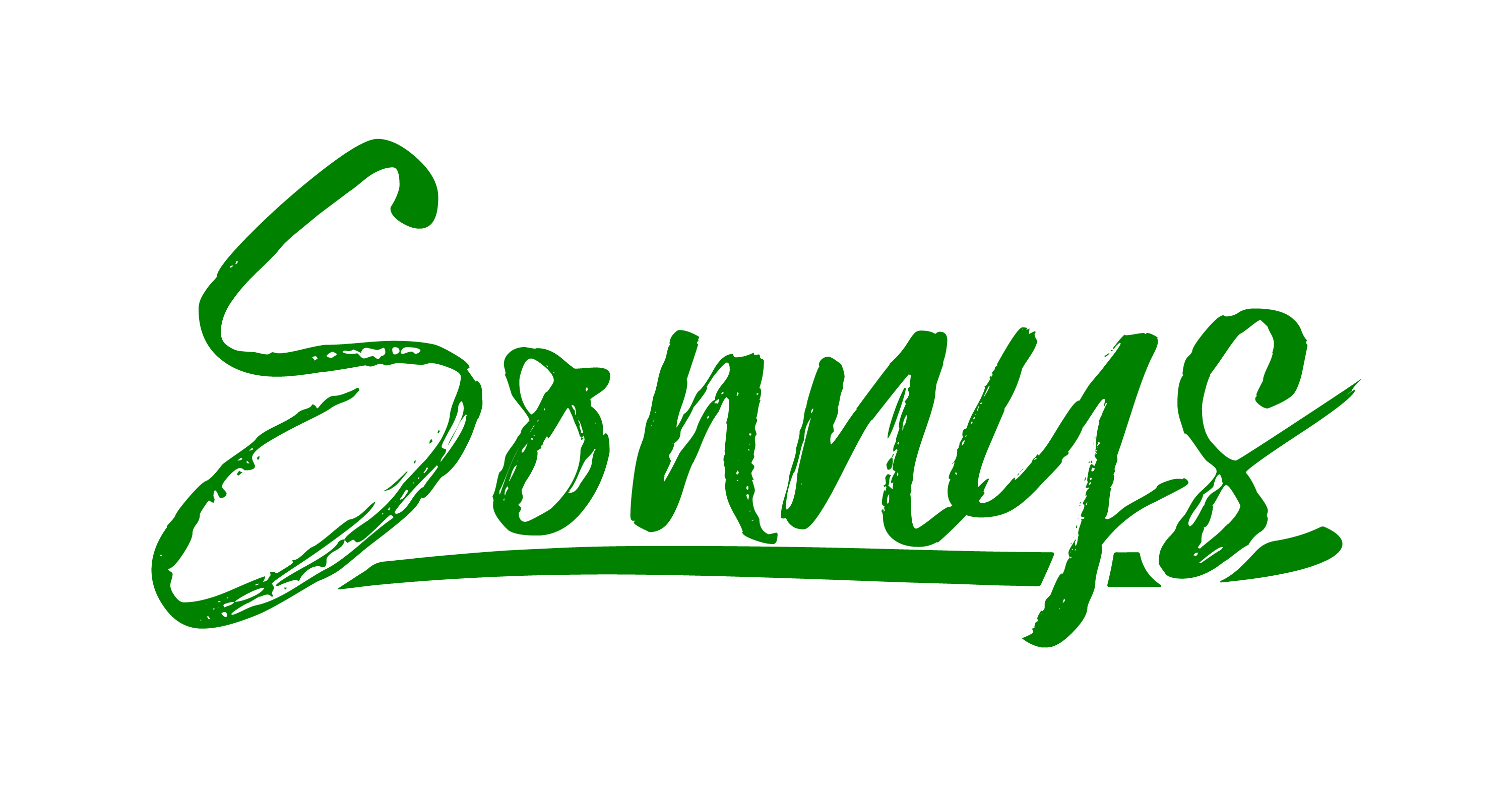 Sp5der OG Rhinestone Logo Hoodie Black – Sonnys